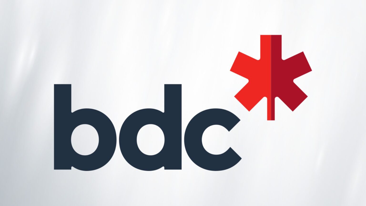 BDC Launches New Program to Help SMBs Adopt AI with Financing Support - FTF